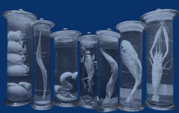 Interacty – engaging content | Interacty project